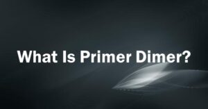 What Is Primer Dimer?